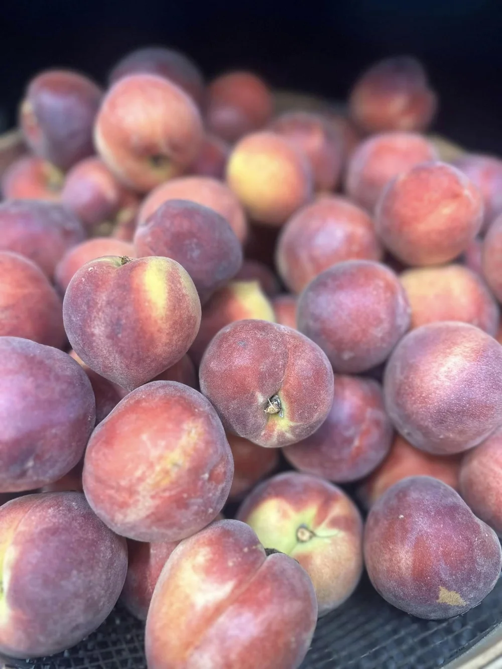 Farm Store + Restaurant — Garver Family Farm Market