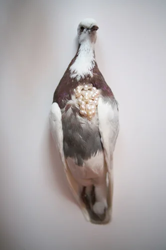 sculpture — Kelly McCallum