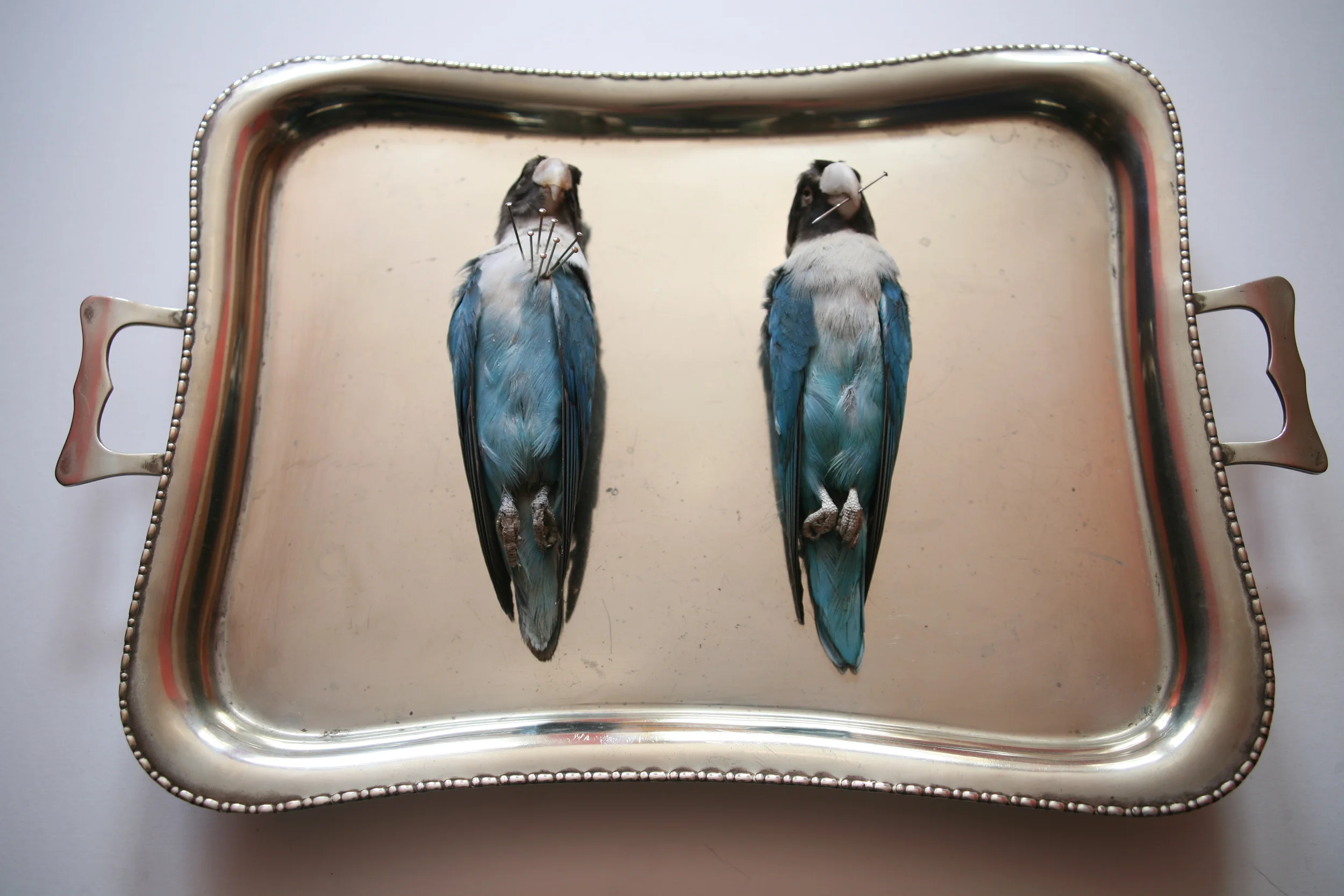 sculpture — Kelly McCallum