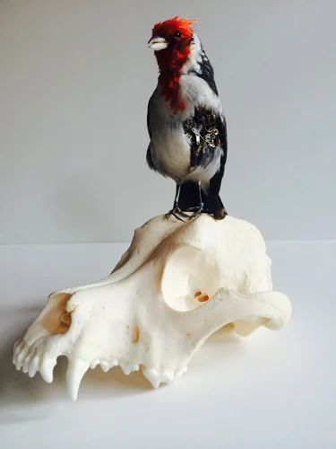 sculpture — Kelly McCallum