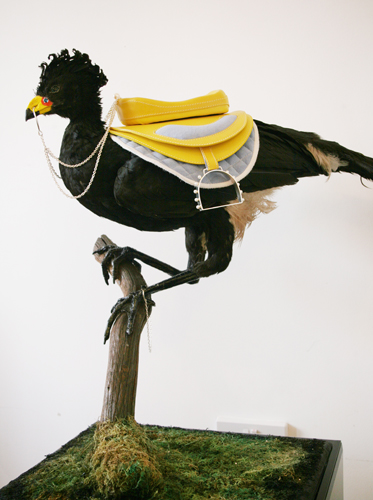 sculpture — Kelly McCallum
