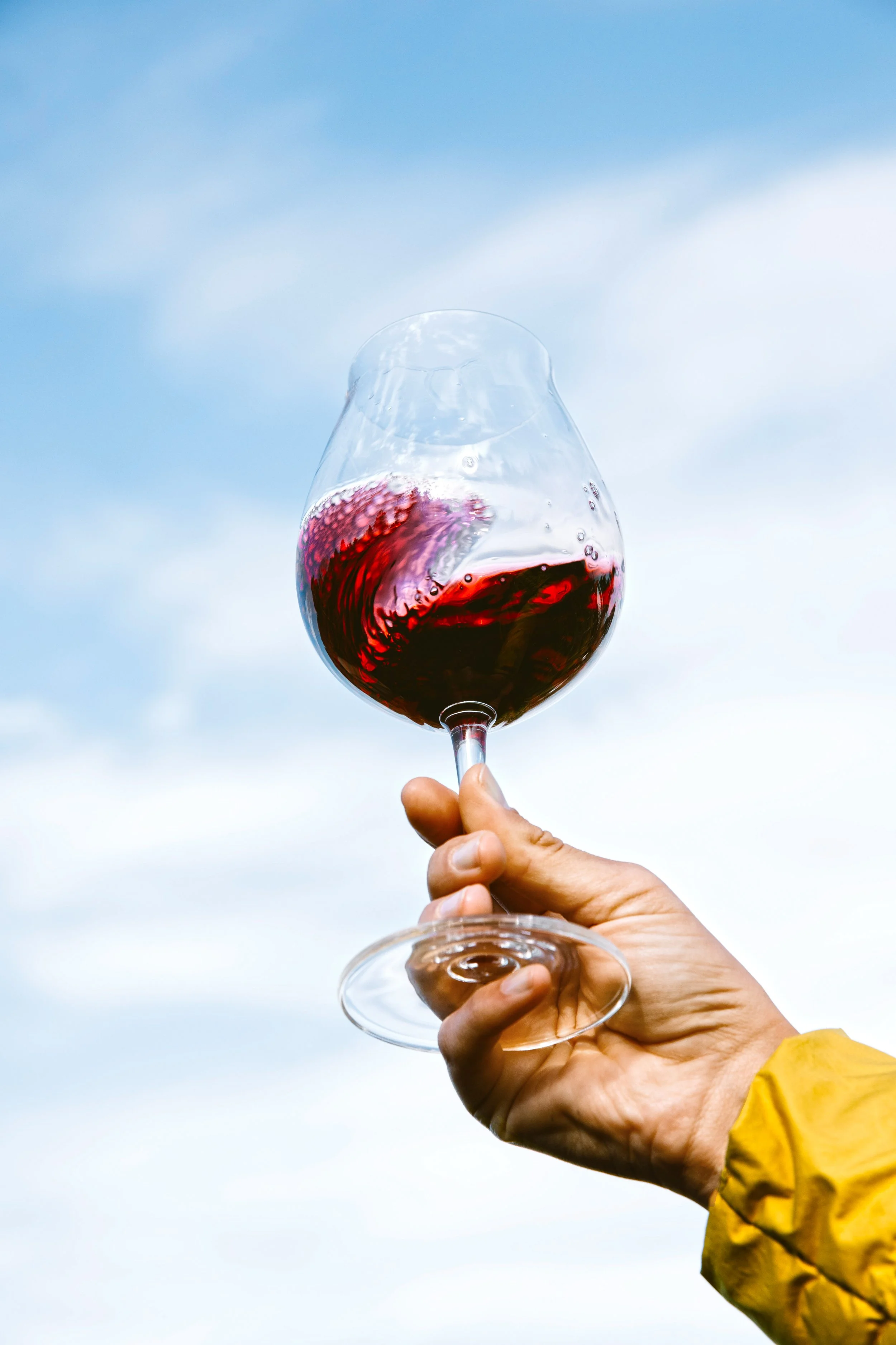 Field Blends | Immersive Food & Wine Experiences – Maryam + Company