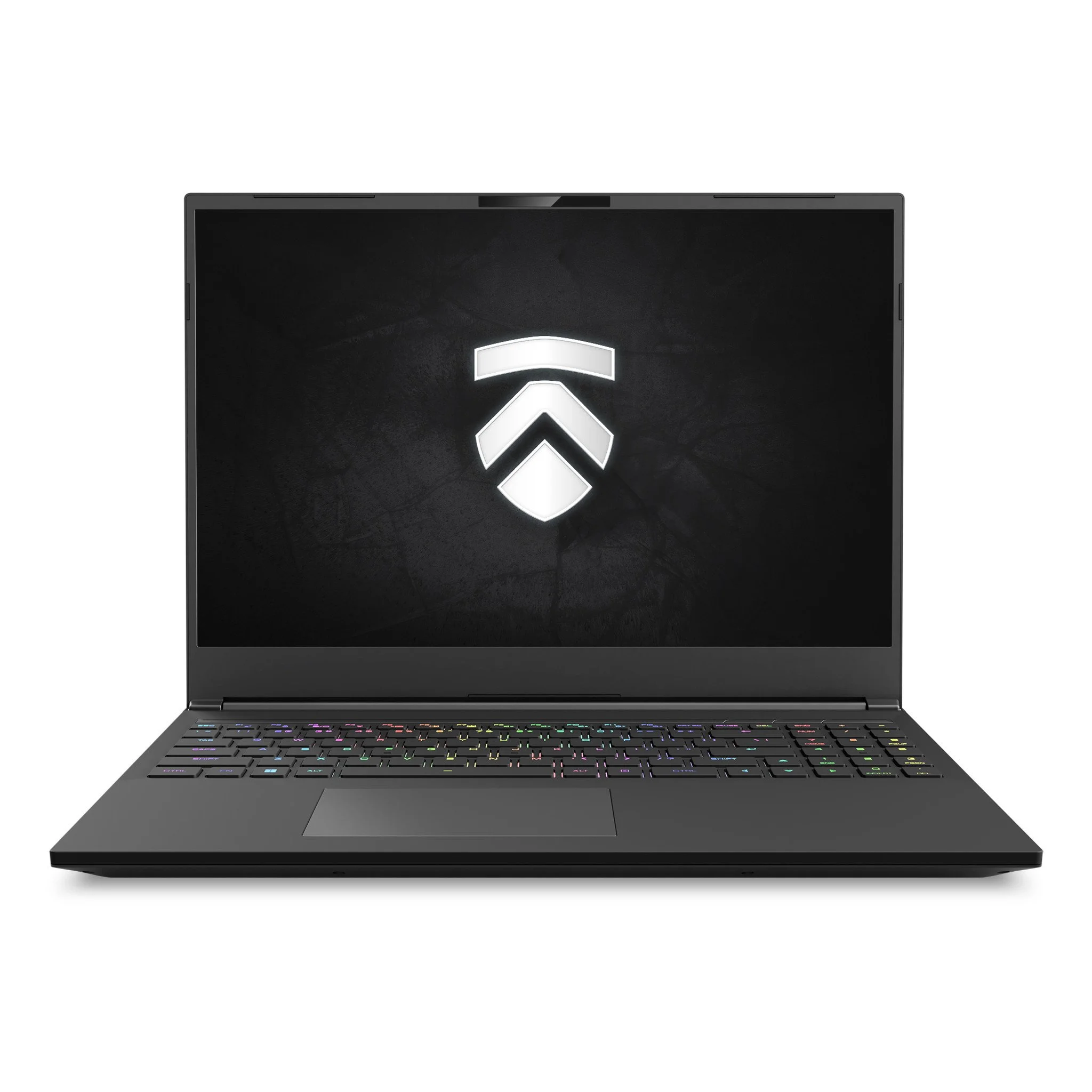 Laptops — Remis Computer Solutions