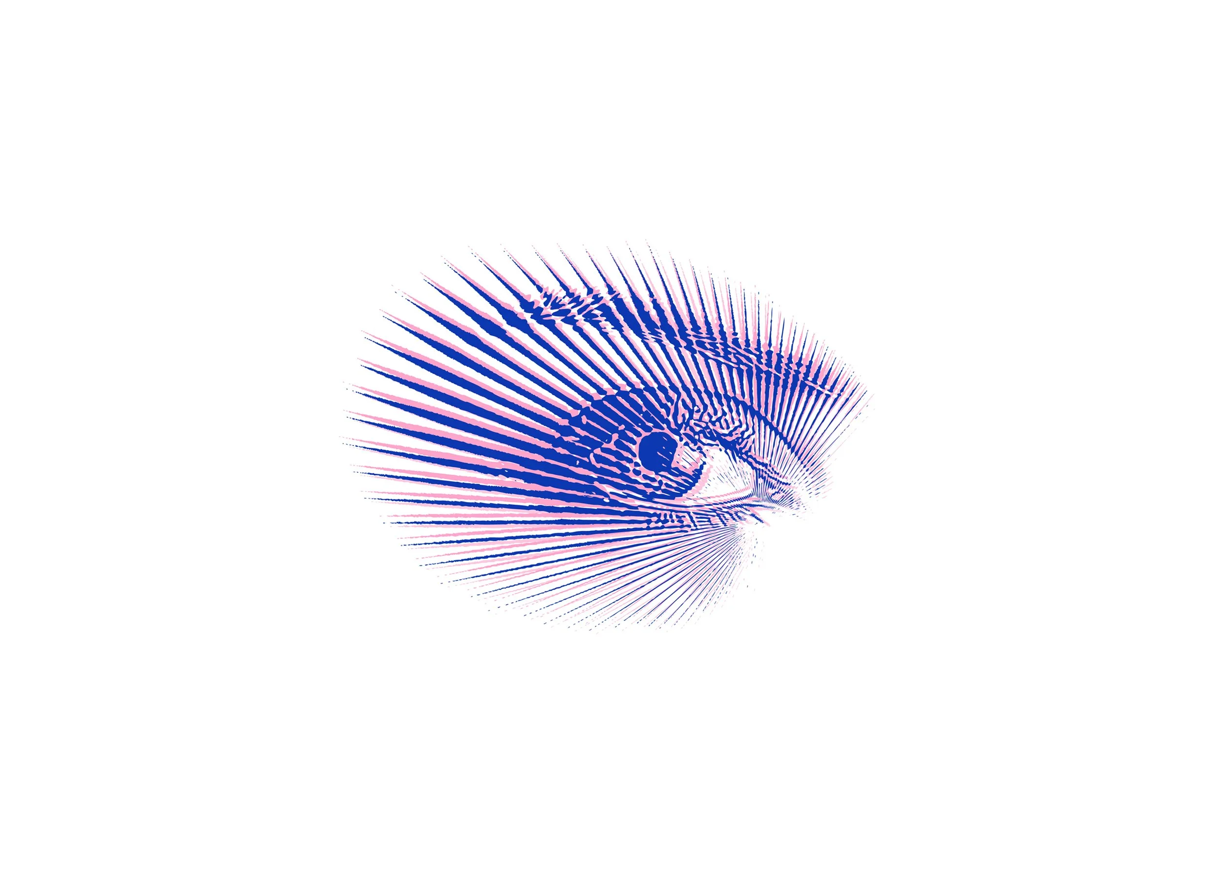 Engraving — George Peters Design & Illustration