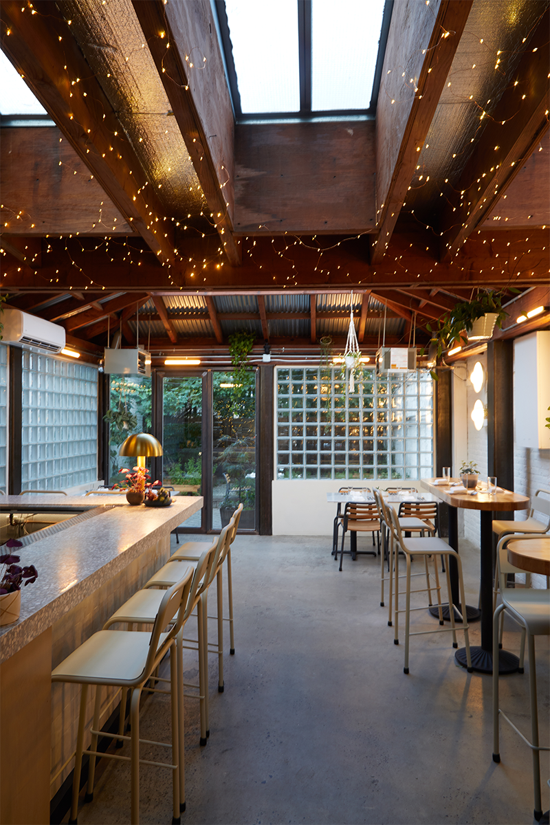 Oxalis — Dutch East Design Inc.