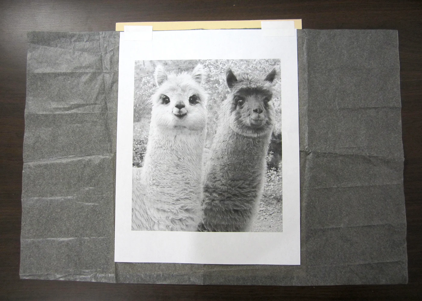 Transferring With Graphite Paper — Simple Art Tips