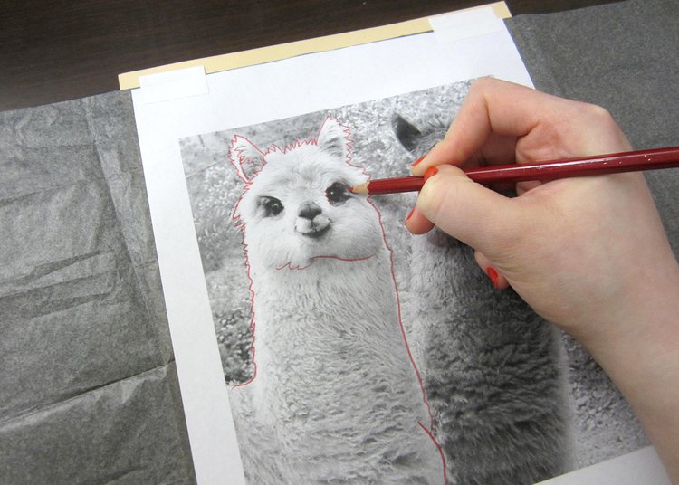 Transferring With Graphite Paper — Simple Art Tips