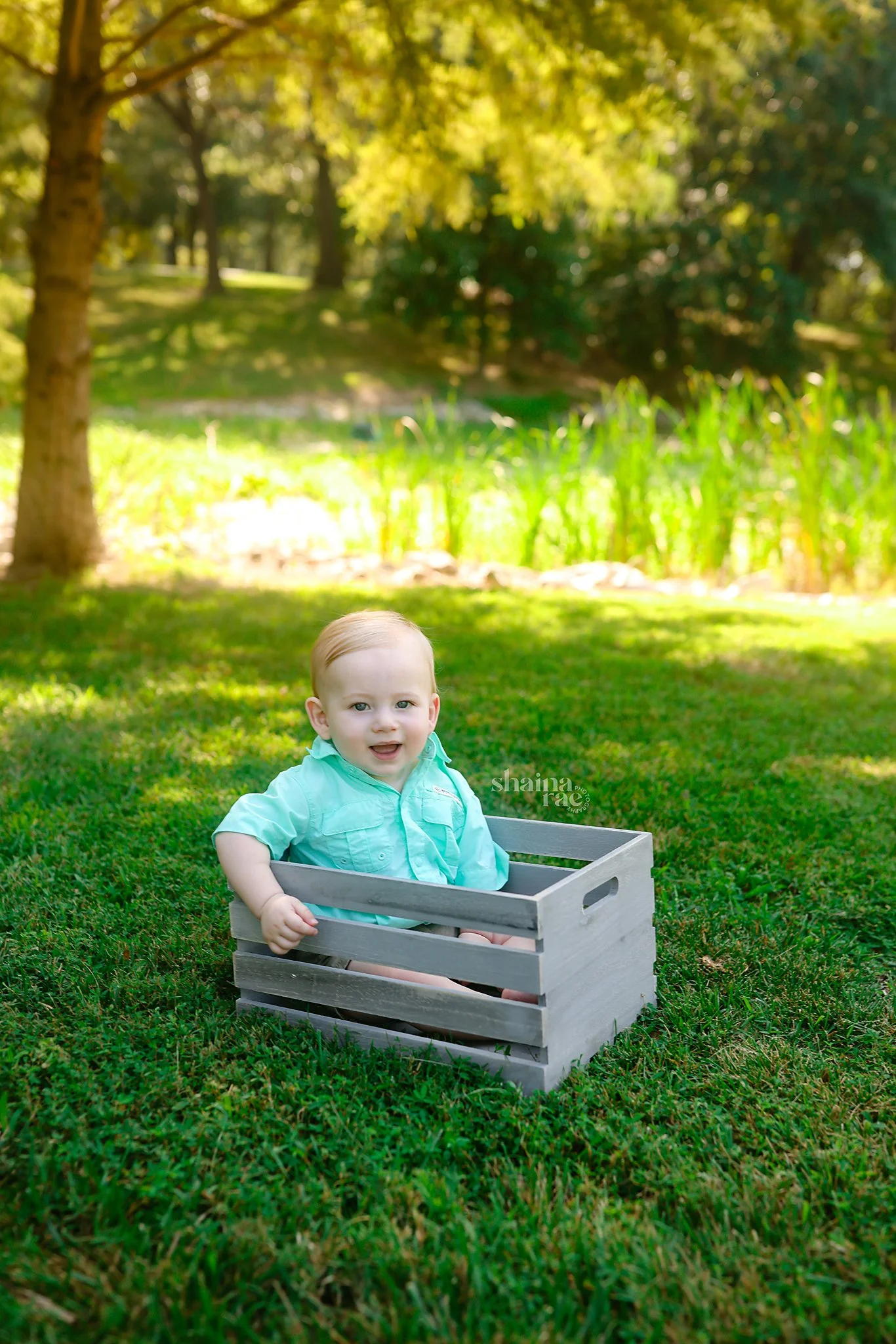 Hamann Family — Shaina Rae Photography