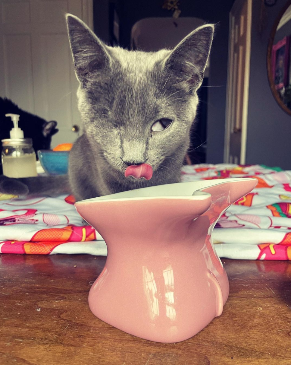 Welcome 2022... — Kismet Acupuncture & Apothecary