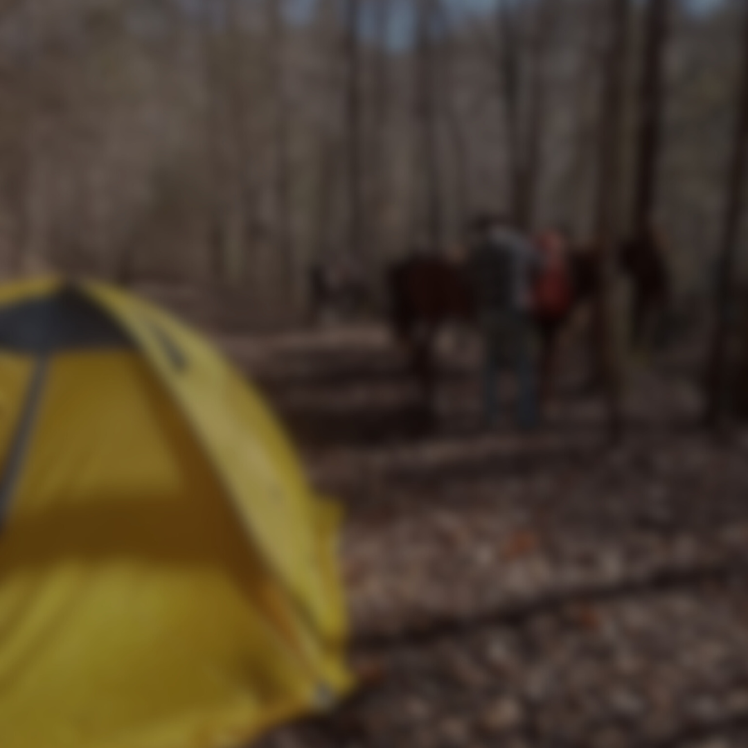 Southeast Pack Trips