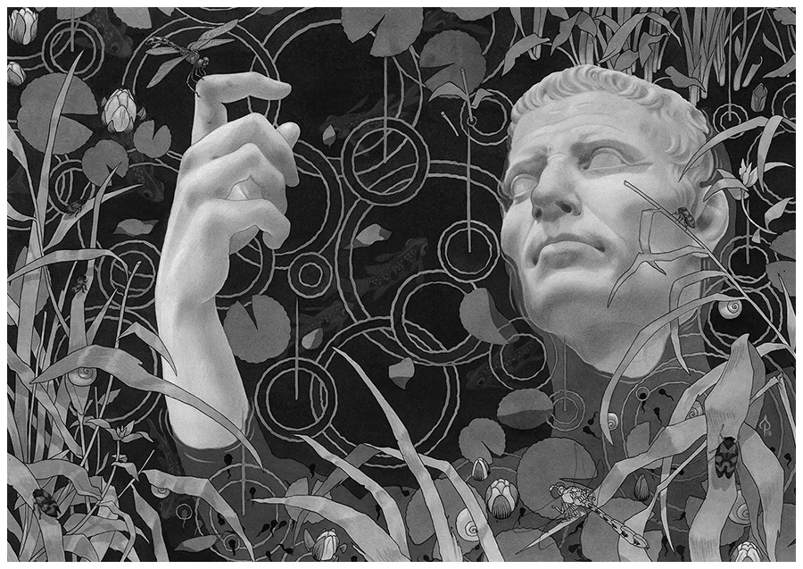 Peter Diamond Illustration