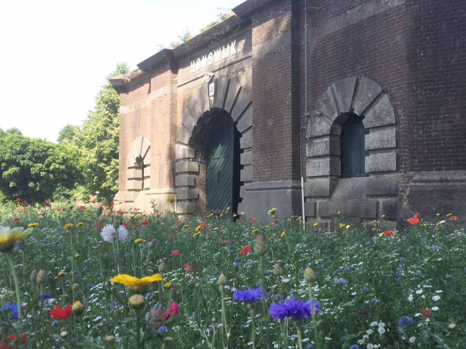 Historic engineering | restorations and services for the future of history