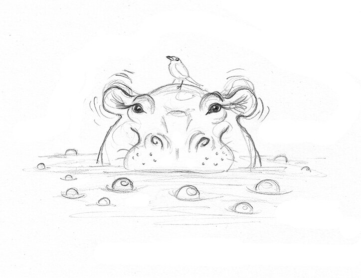 Hippo In Water Drawing