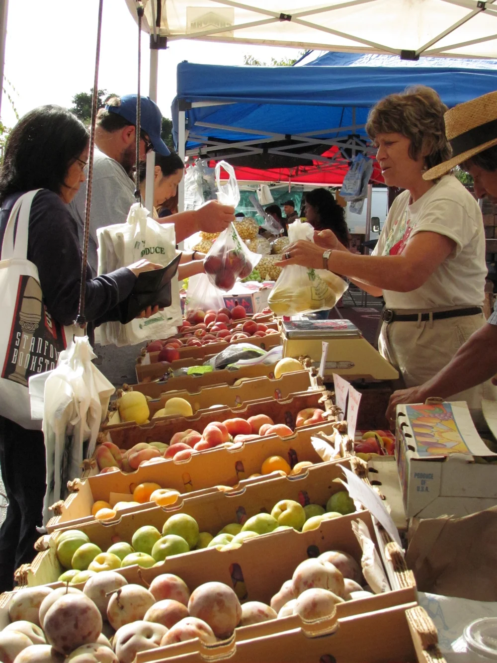 Mountain View Farmers' Market — California Farmers' Markets Association