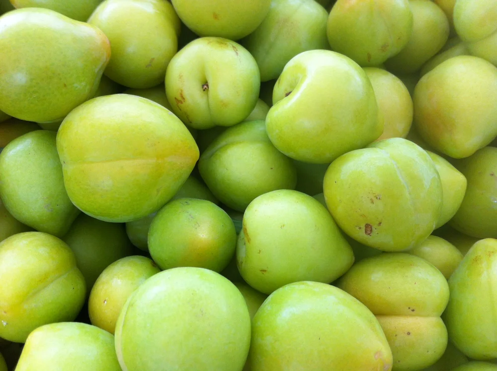 Mountain View Farmers' Market — California Farmers' Markets Association