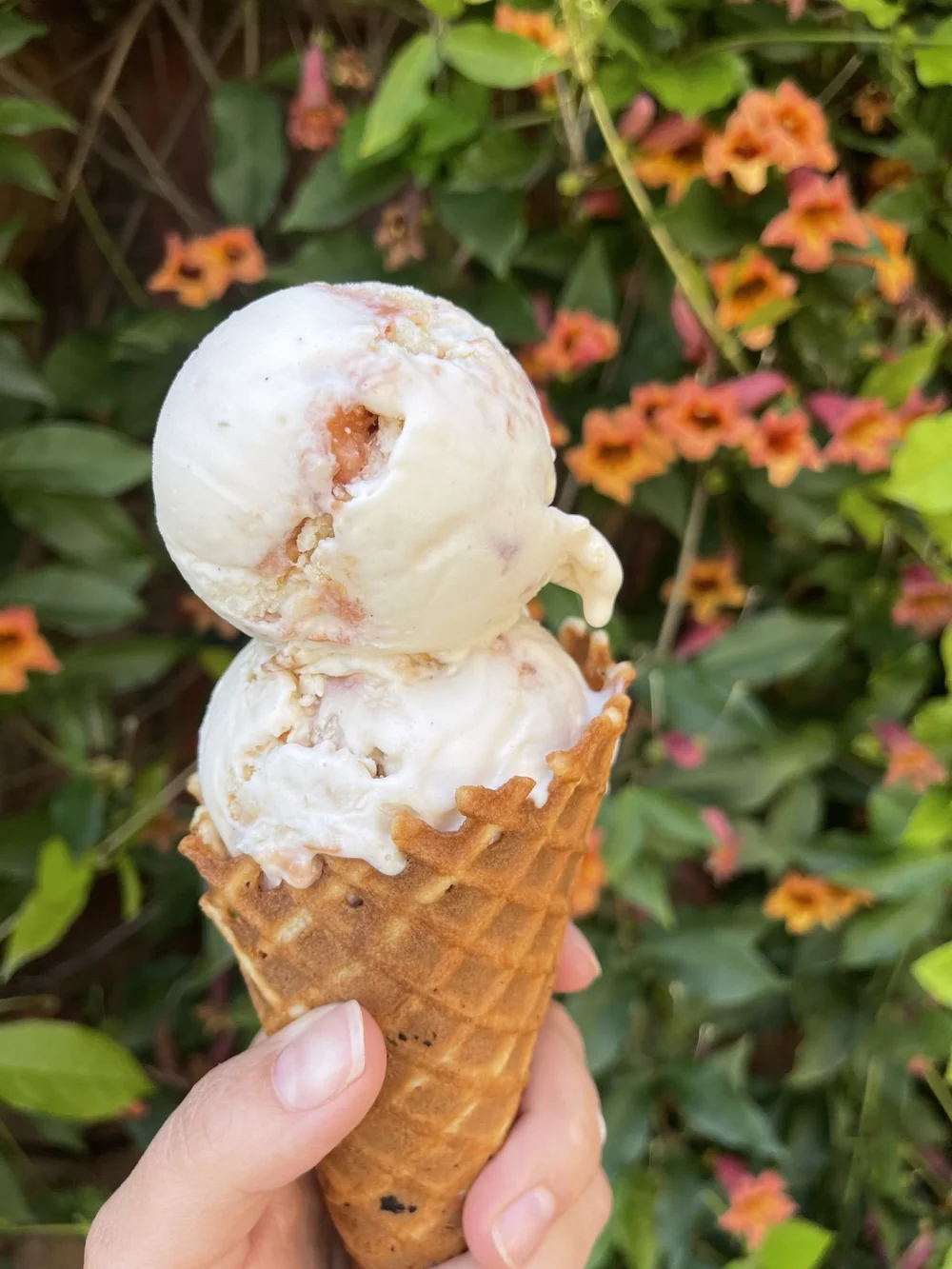 ice cream dreamin — Big Spoon Creamery