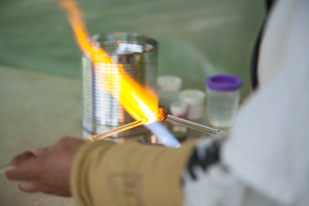 Event Photo Gallery — George Pegg Botanic Garden