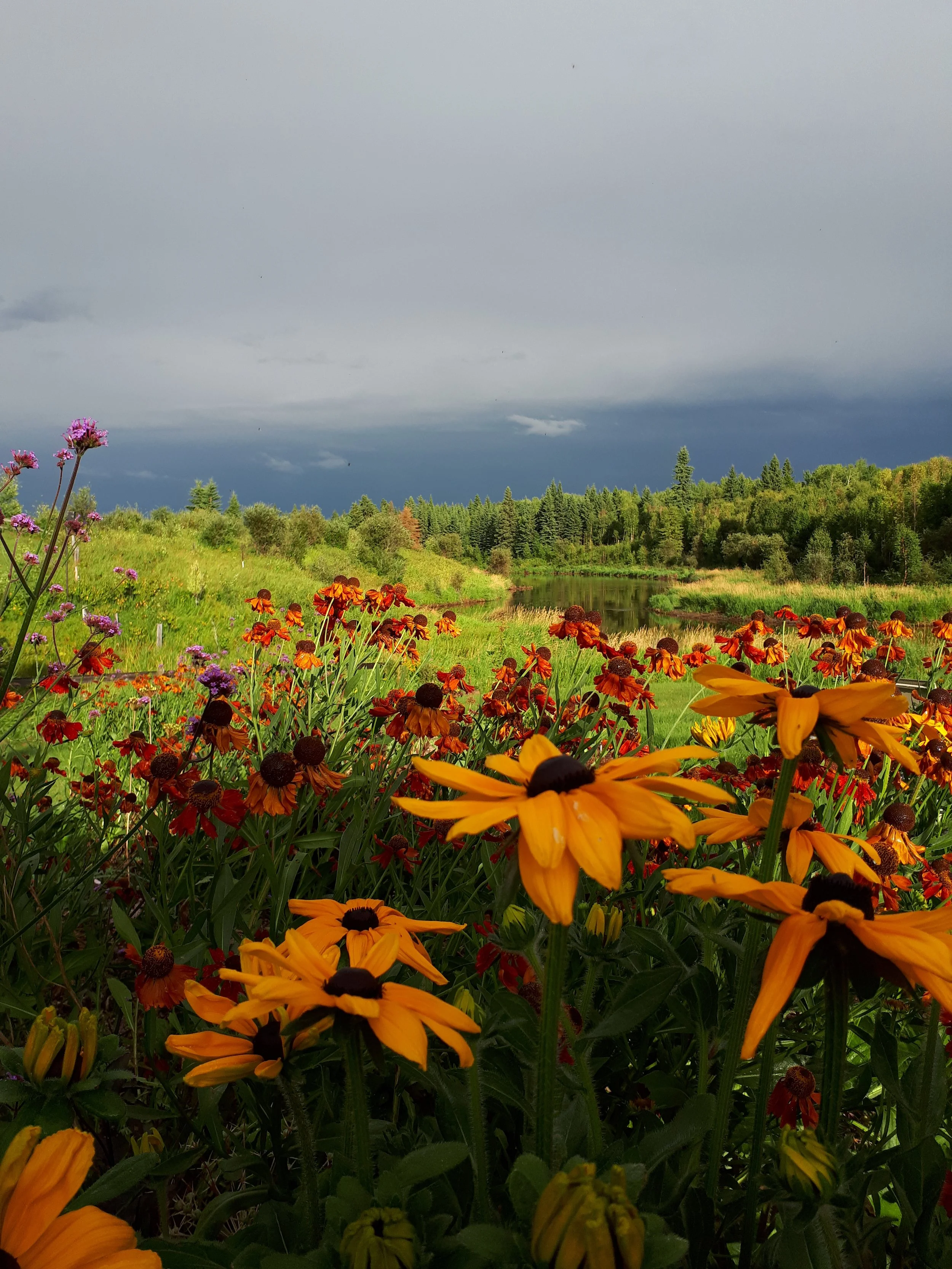 New Perennial Demonstration Bed — George Pegg Botanic Garden