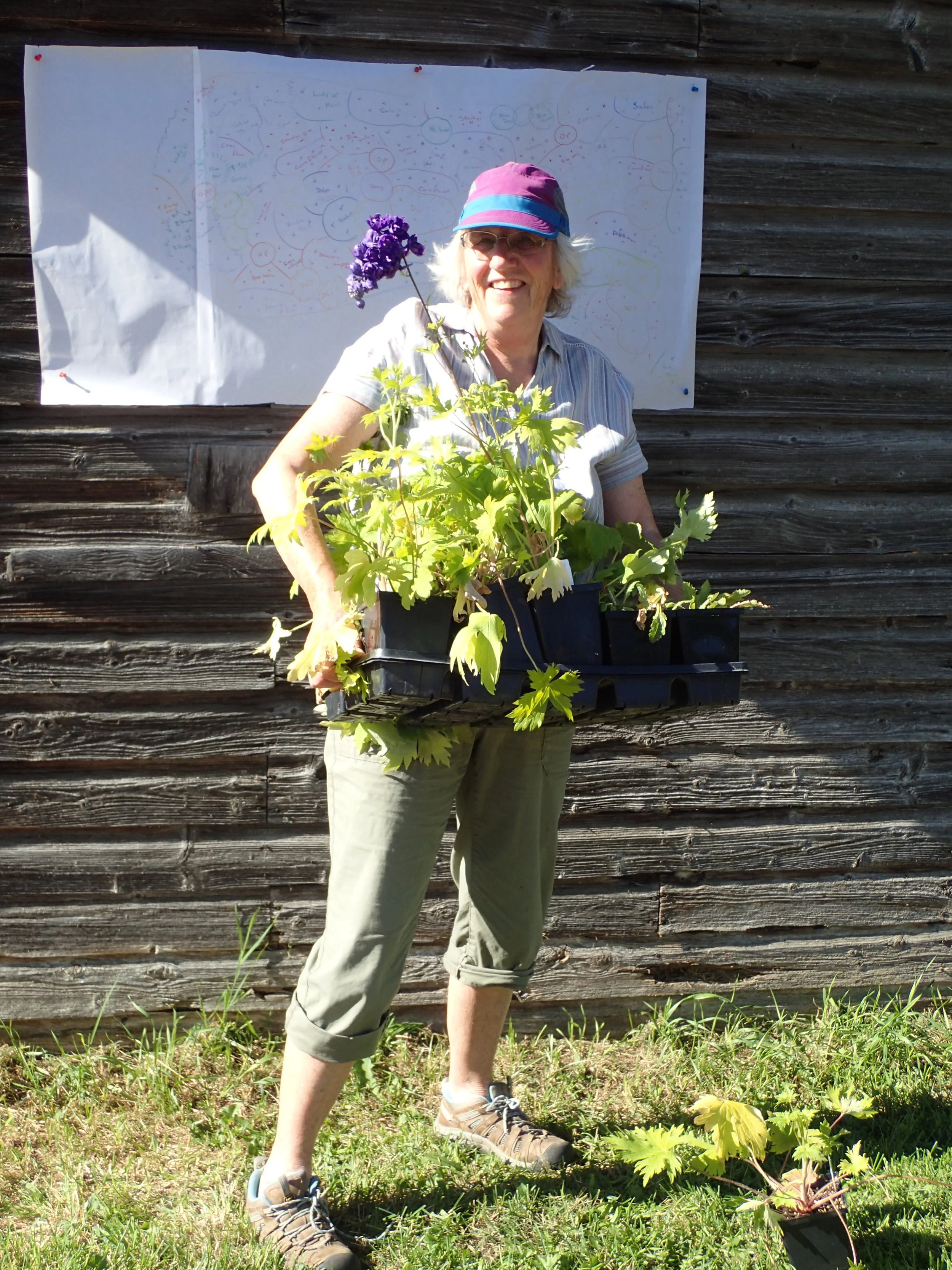 New Perennial Demonstration Bed — George Pegg Botanic Garden
