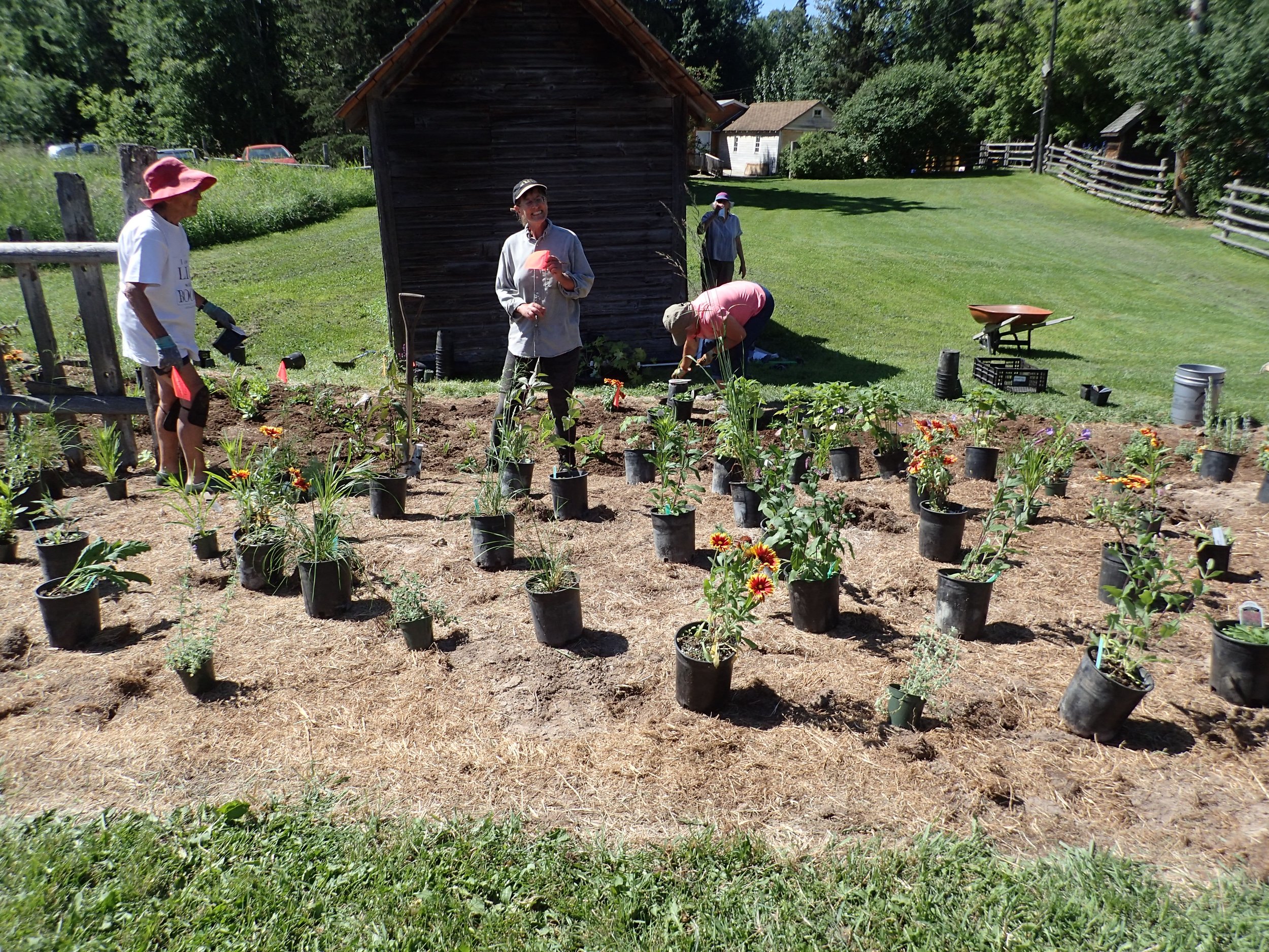 New Perennial Demonstration Bed — George Pegg Botanic Garden