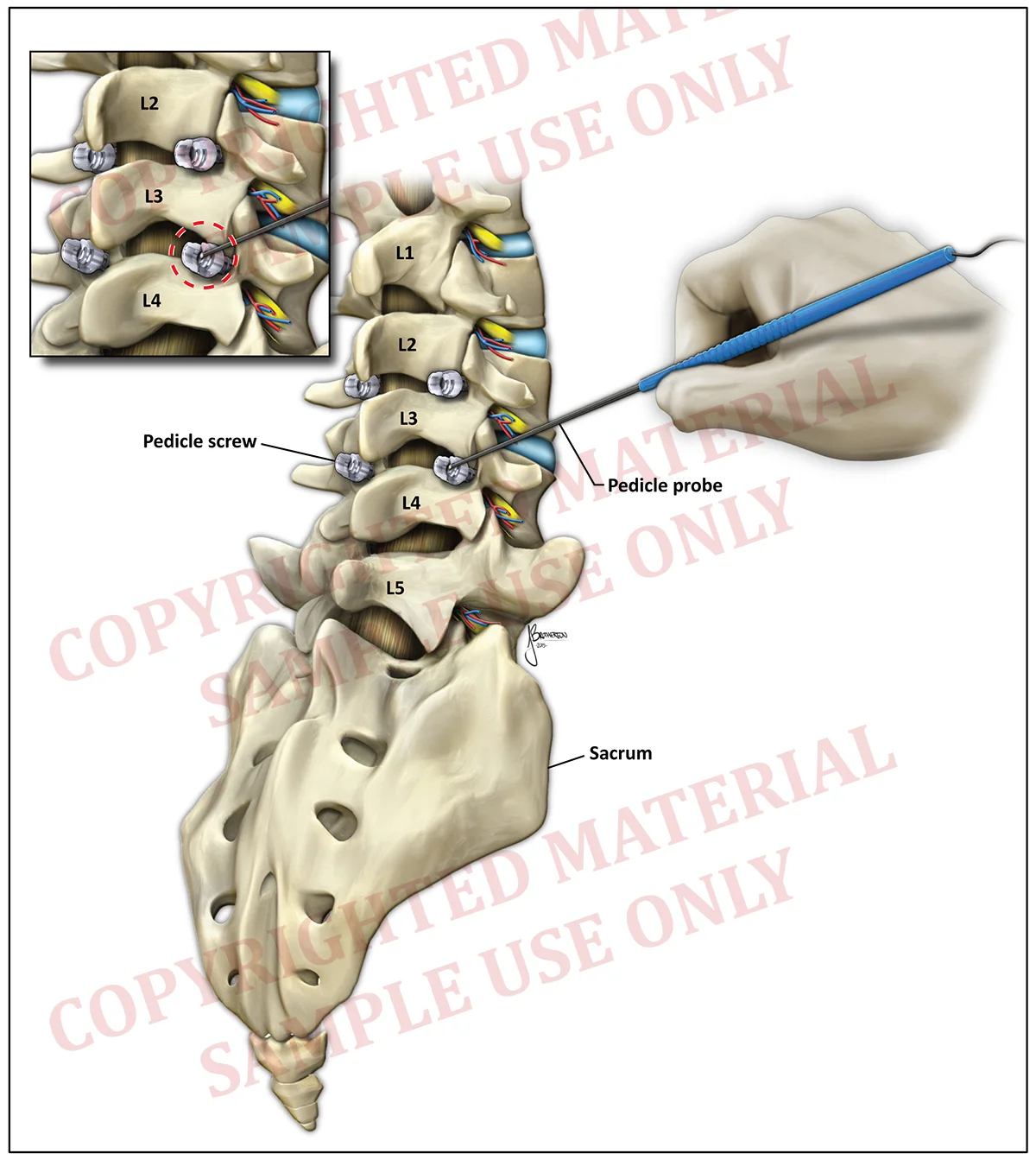 Jeremy N. Brotherton B.A., M.S.