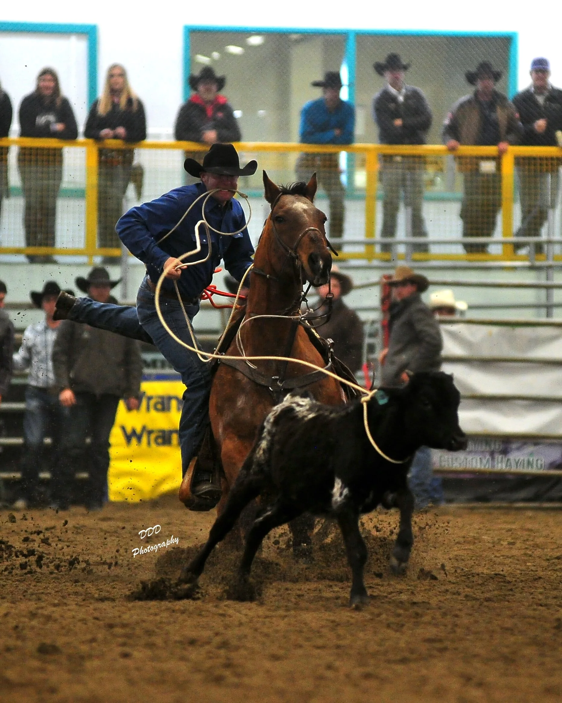8th Annual Drayton Valley Pro Rodeo