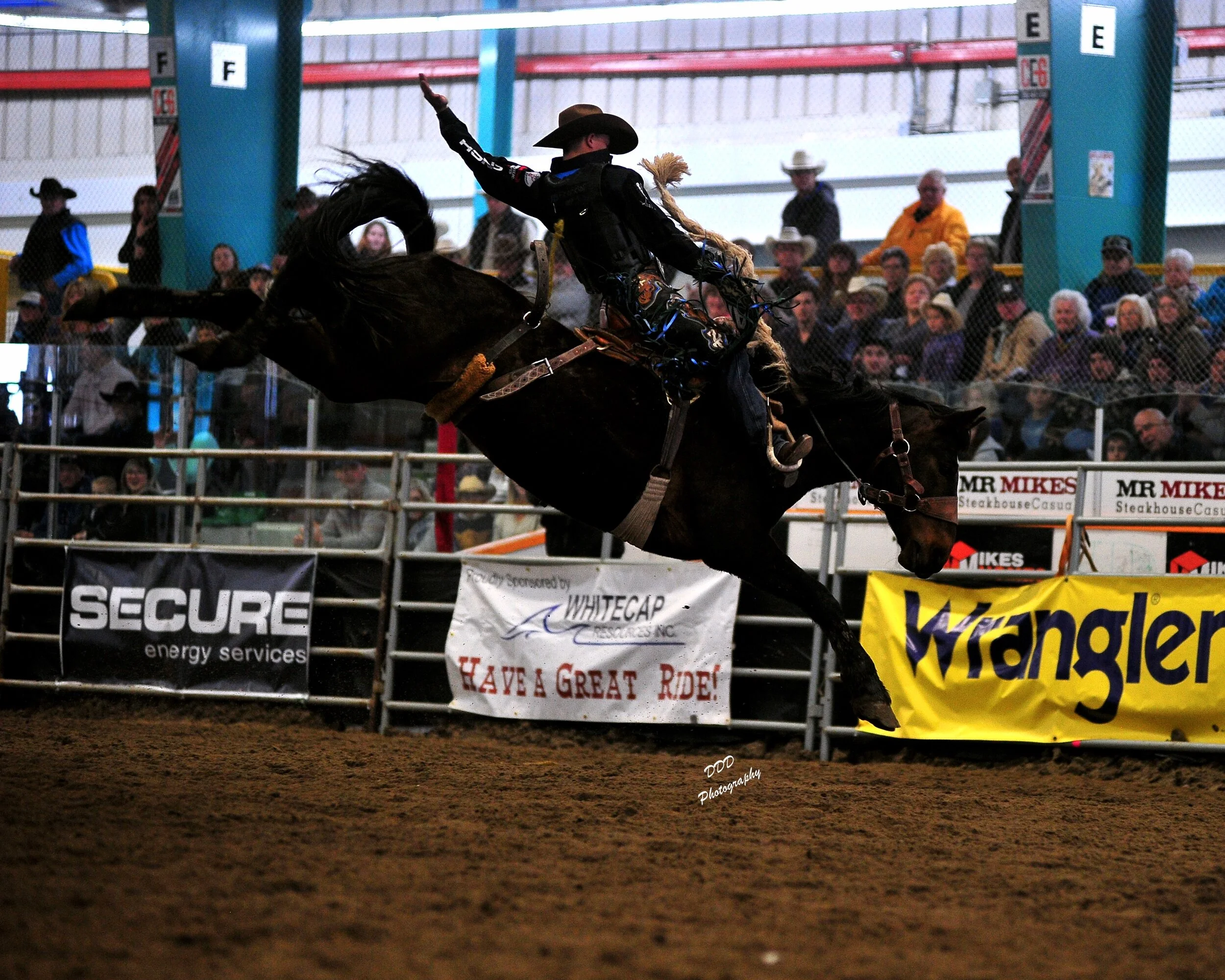 8th Annual Drayton Valley Pro Rodeo