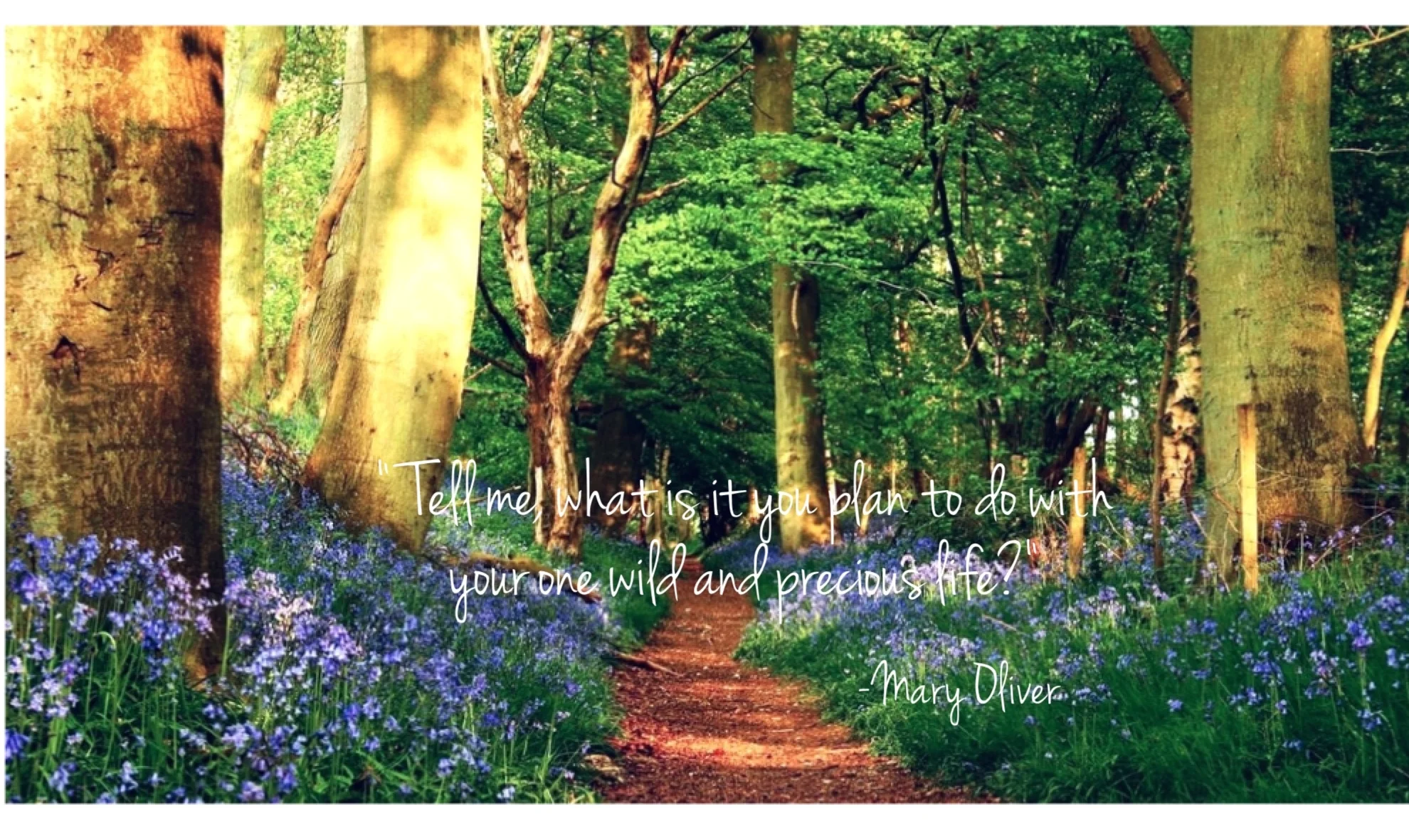 The Embodied Path