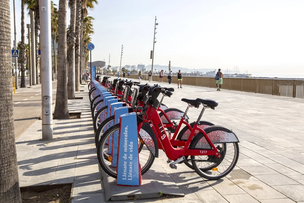 Bicing — Main