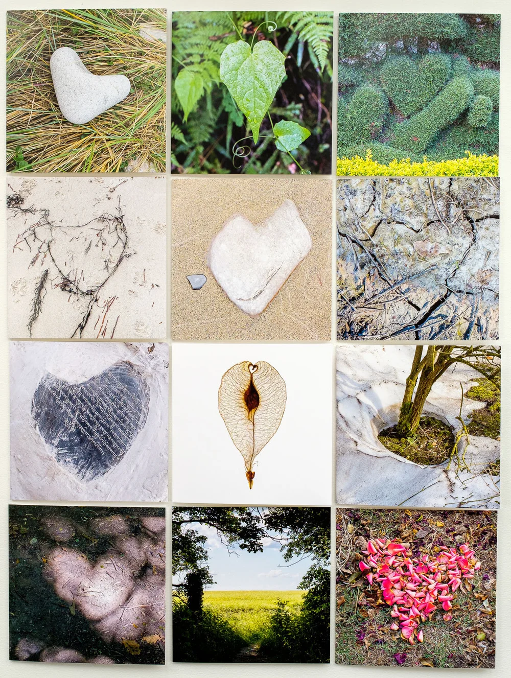 Wild Frontiers blog — Richard Draper