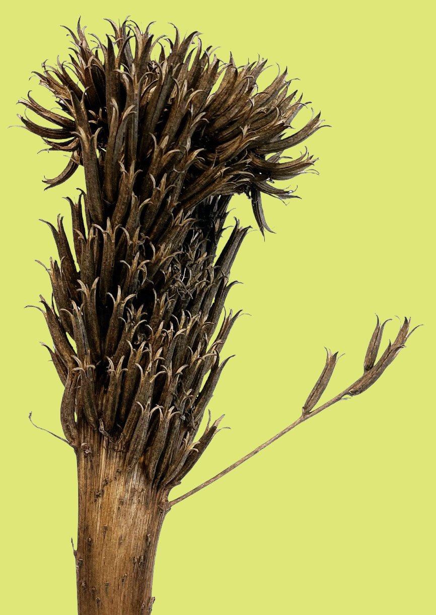 STRING OF BEADS BAND, 14K — Laurel's Bench