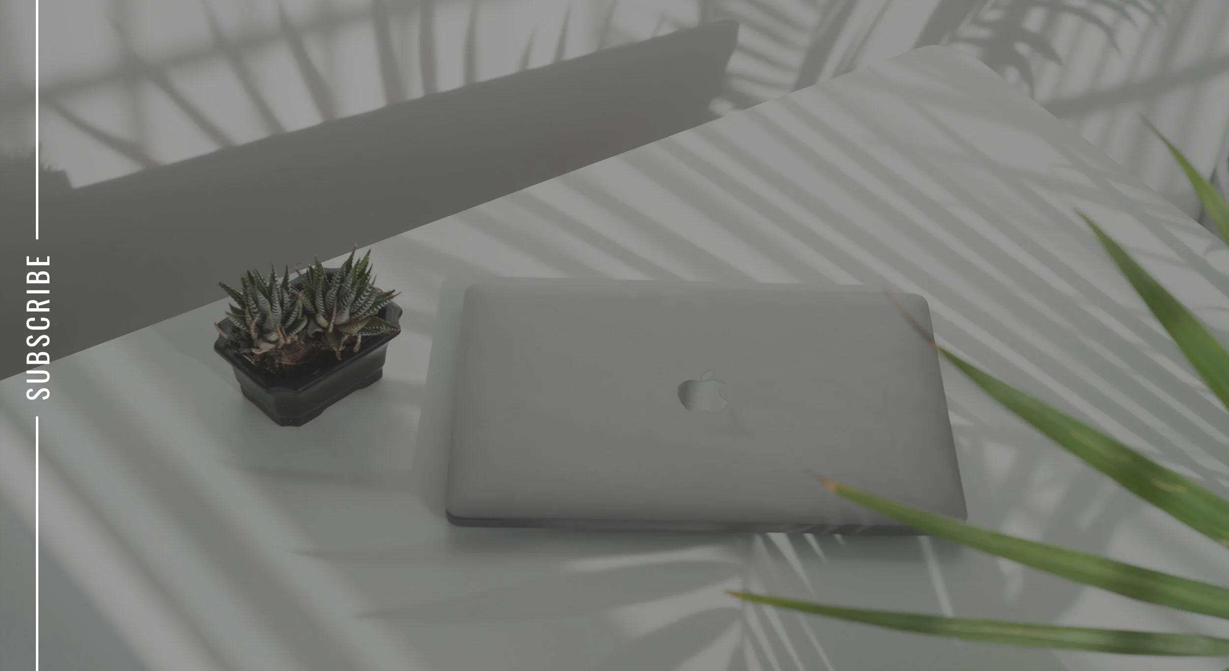 Melanie Reyes Photography