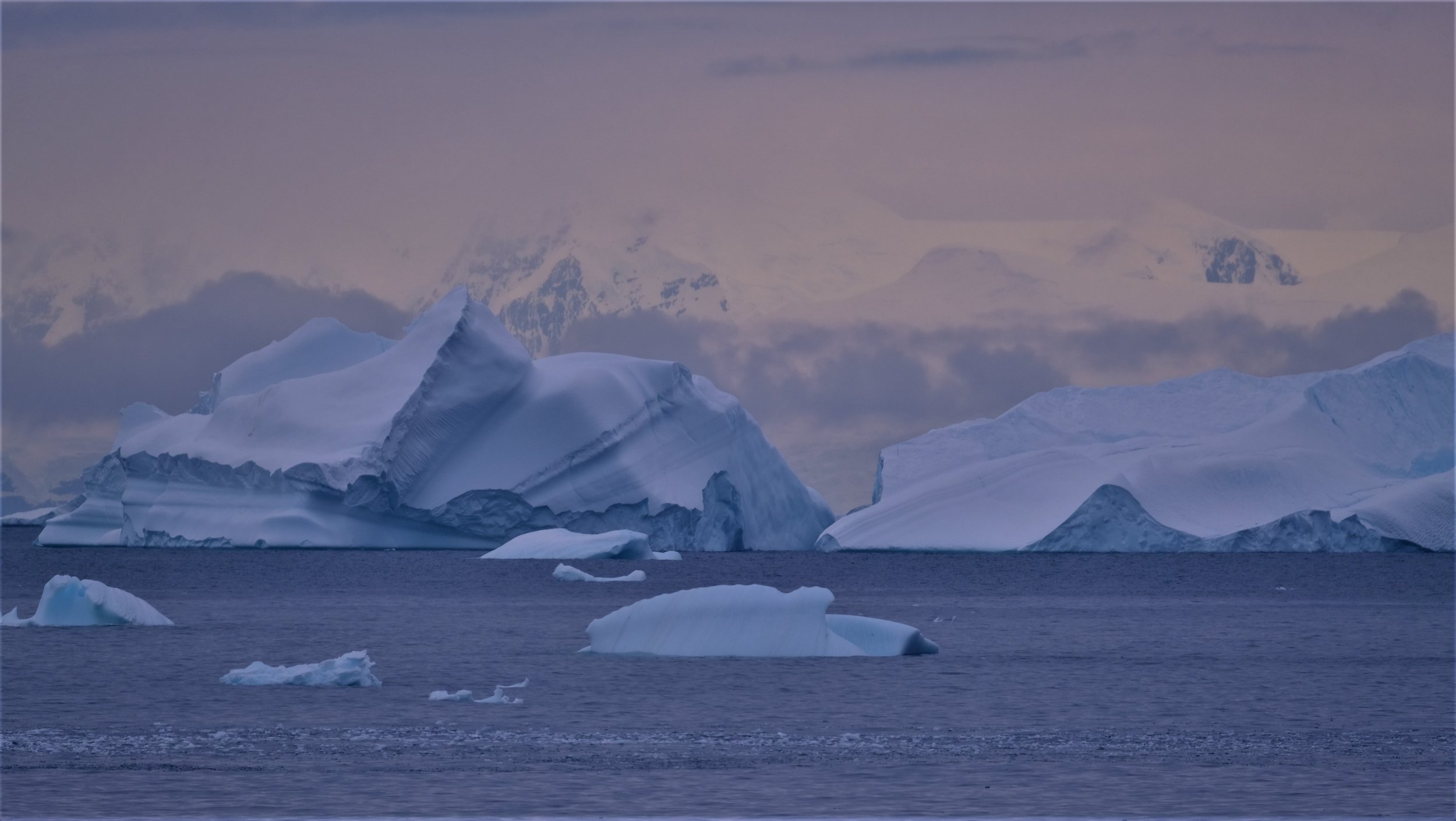 Just back from Antarctica — Felicity Aston