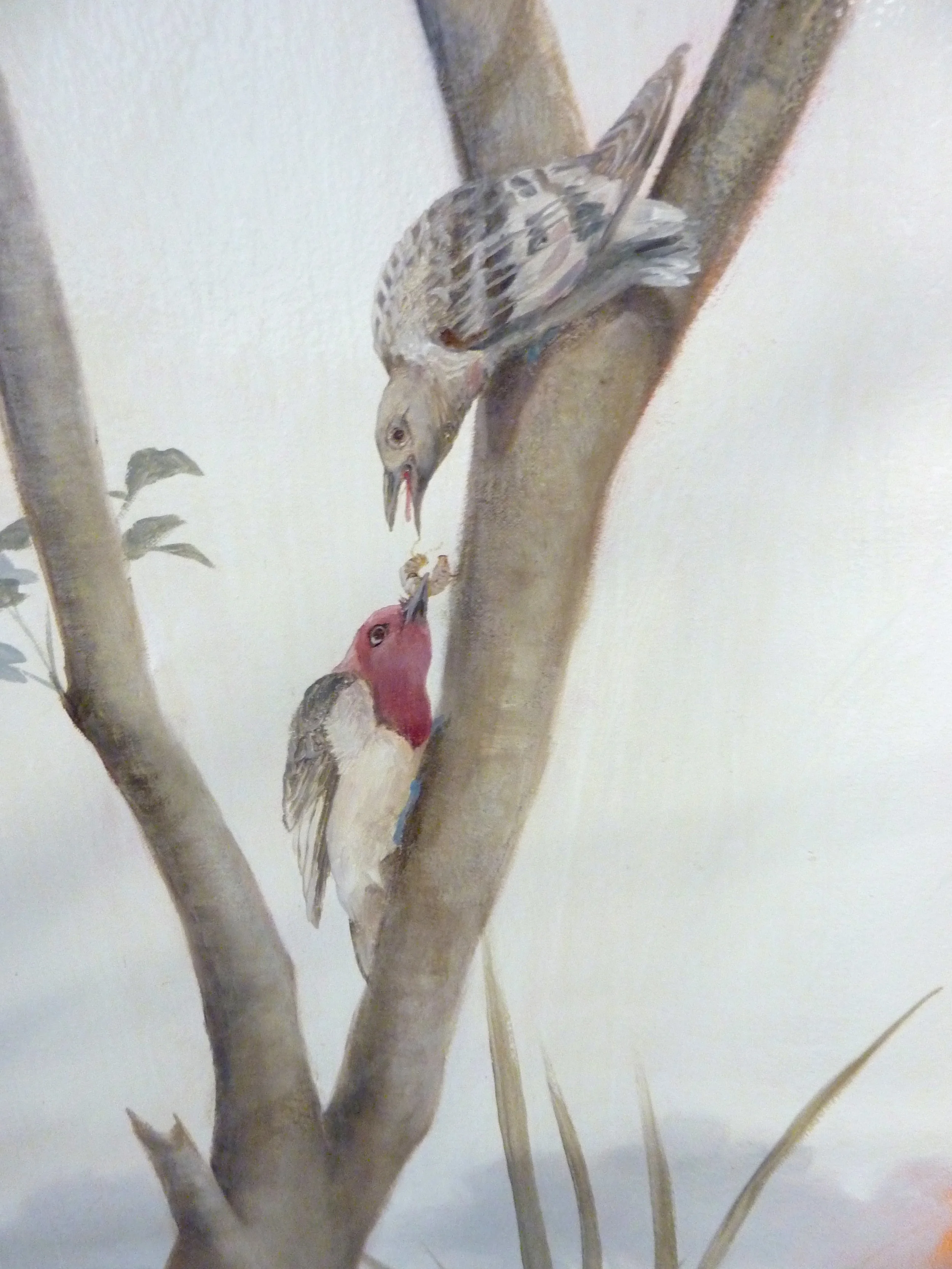 Two Southern Murals Bathed in Warmth — Anne Harris Studio