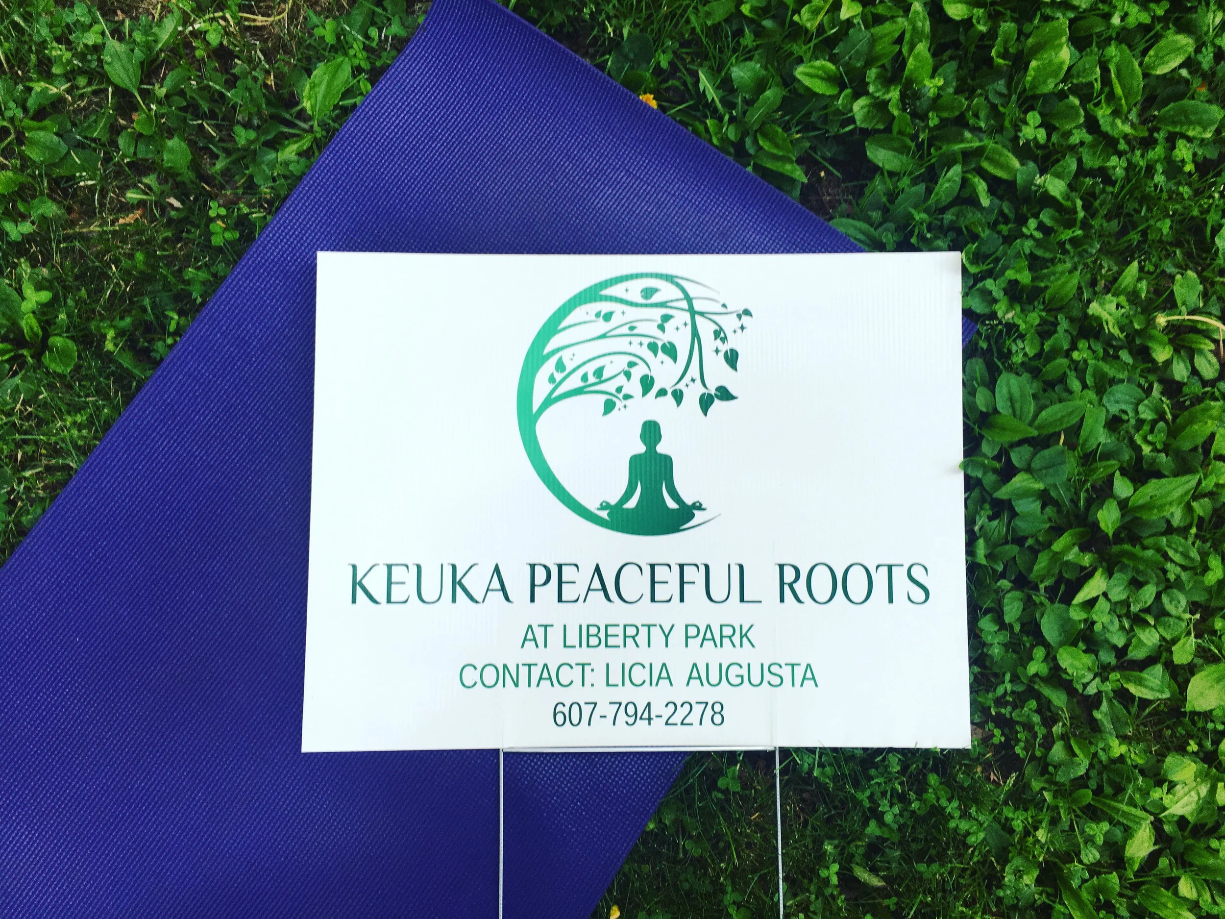 In Studio — Keuka Peaceful Roots