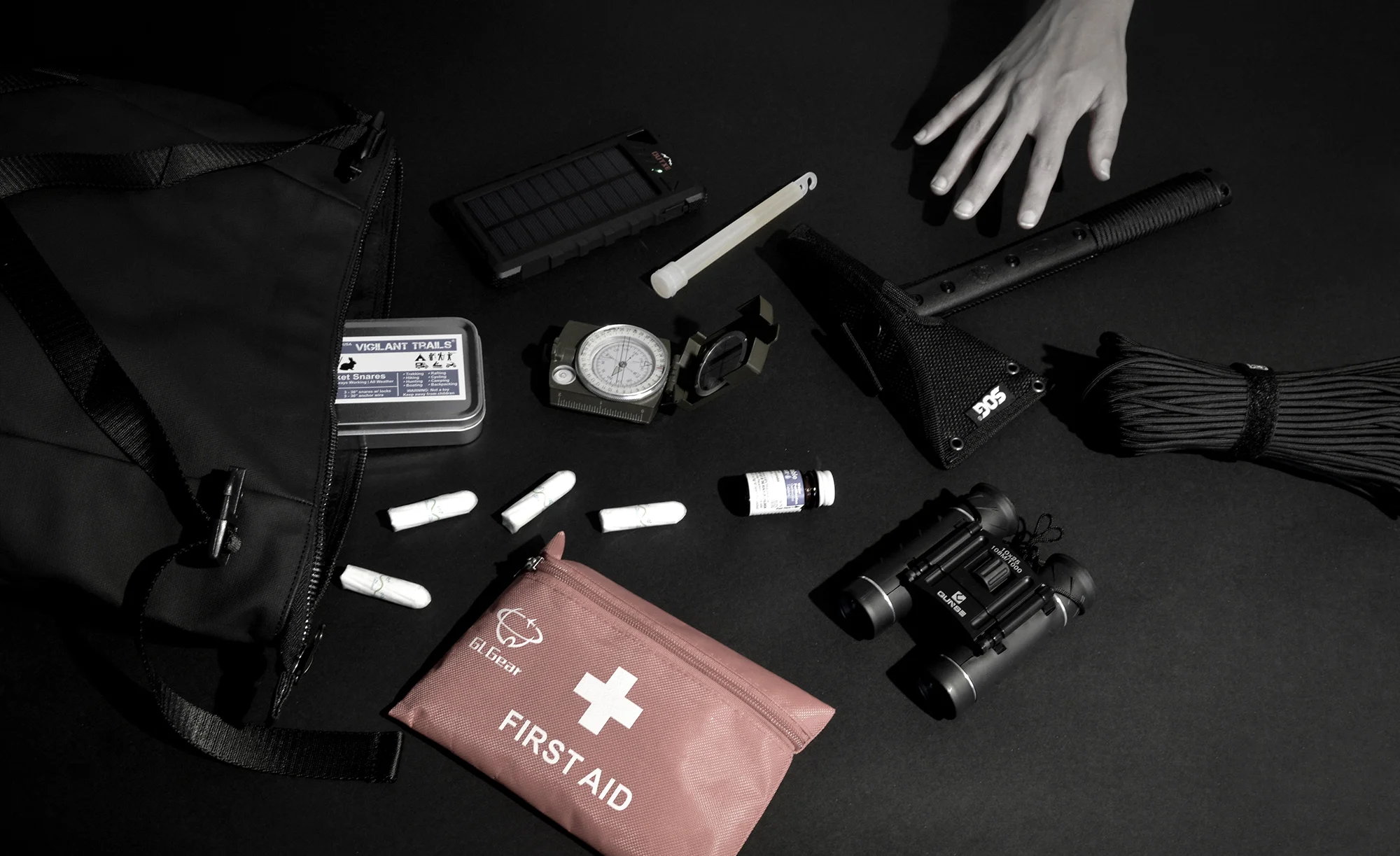 Plan Z: Your Zombie Apocalypse Survival Guide