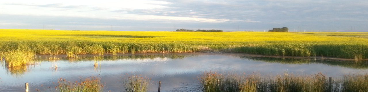 Wetlands & Climate Change — Wetland Policy