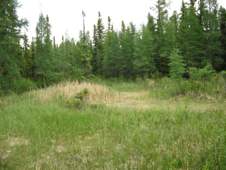 Stewart & Kantrud System — Wetland Policy