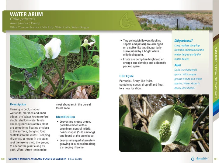 Wetland Field Guide — Alberta Wetland Policy