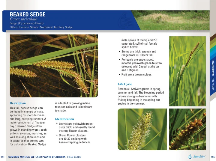 Wetland Field Guide — Alberta Wetland Policy