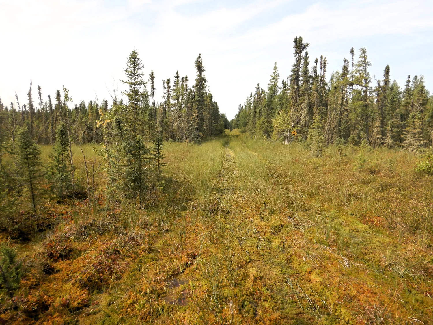 Wetland Classification Systems — Wetland Policy