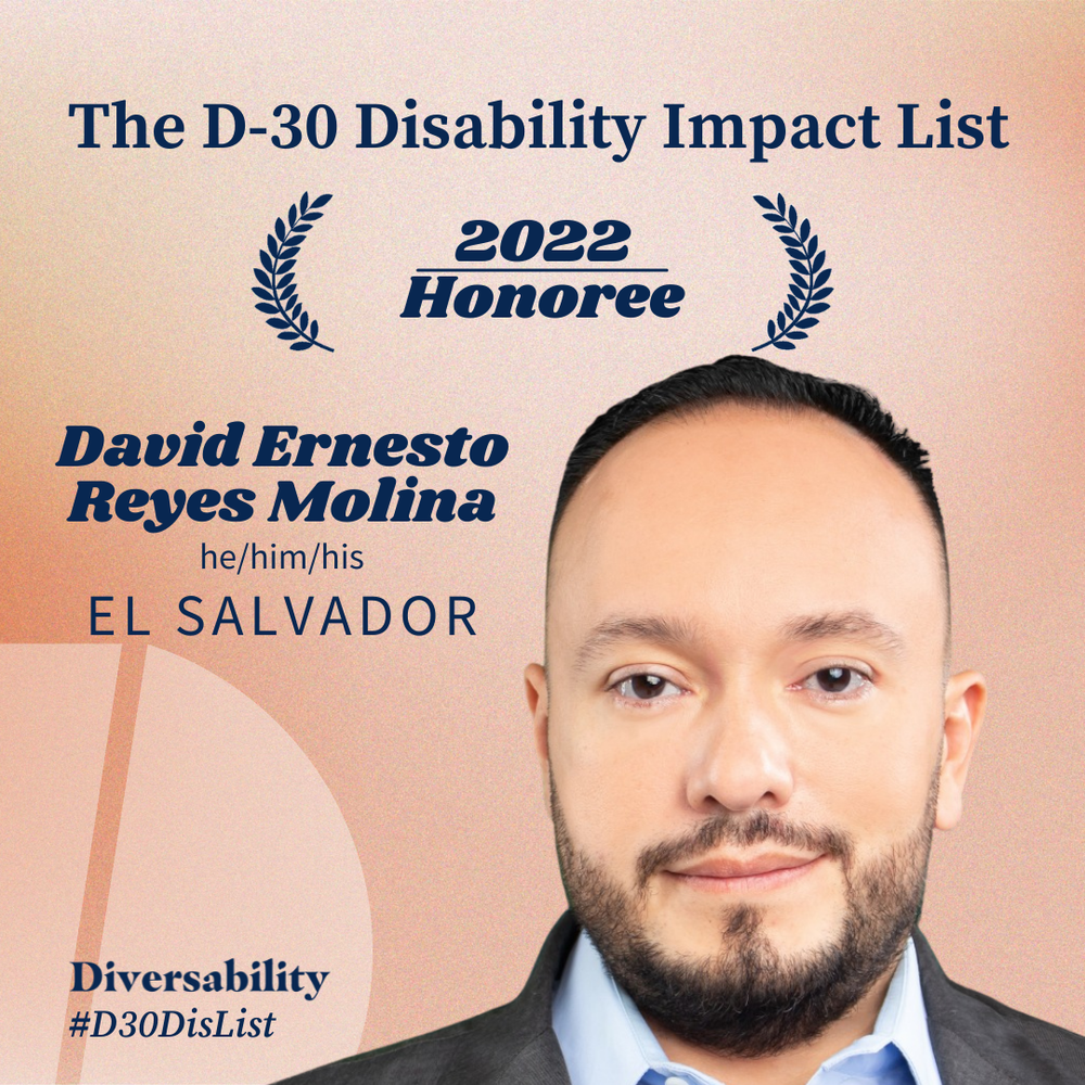David Ernesto Reyes Molina — Diversability