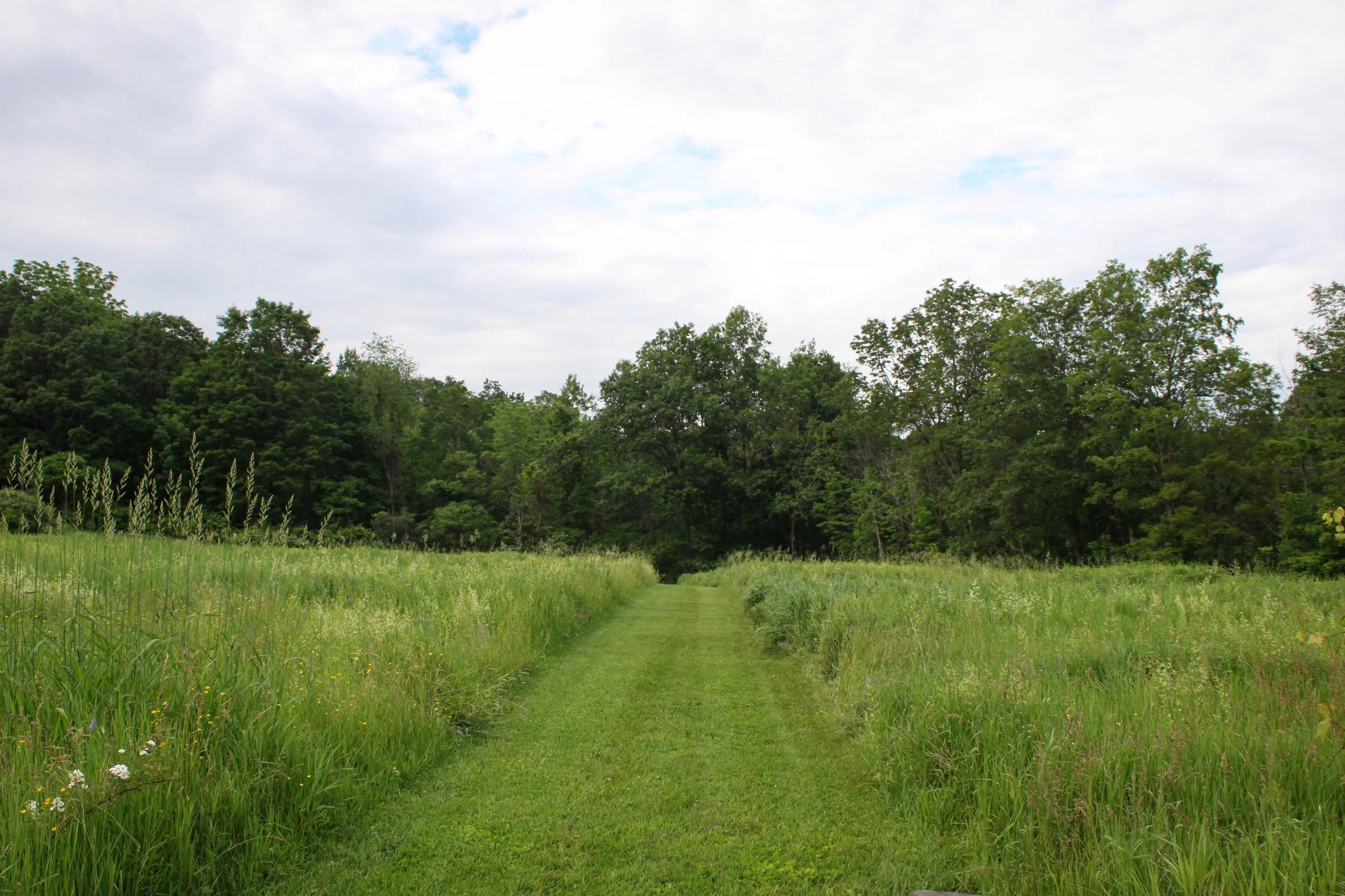 Discover M&D Farm's Property Areas, The Perfect Layout For Your Dream ...