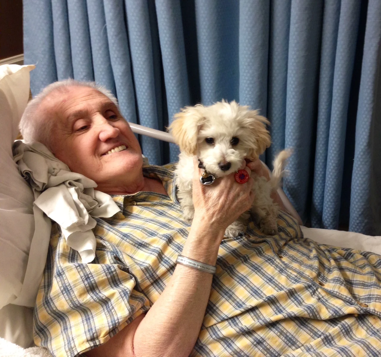 Therapy Dog in Training — The Professional Counselor, Inc.