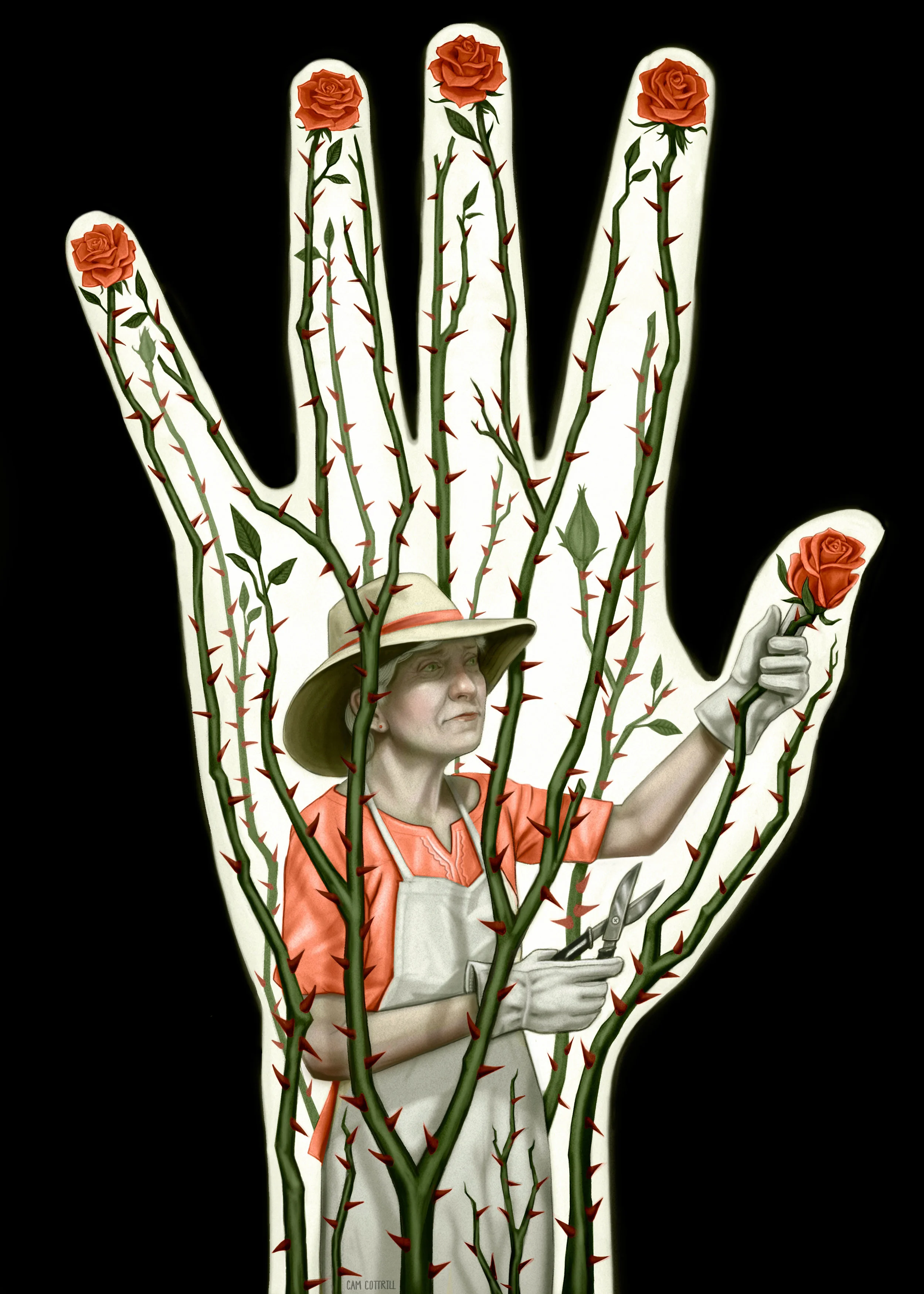 Cam Cottrill Illustration