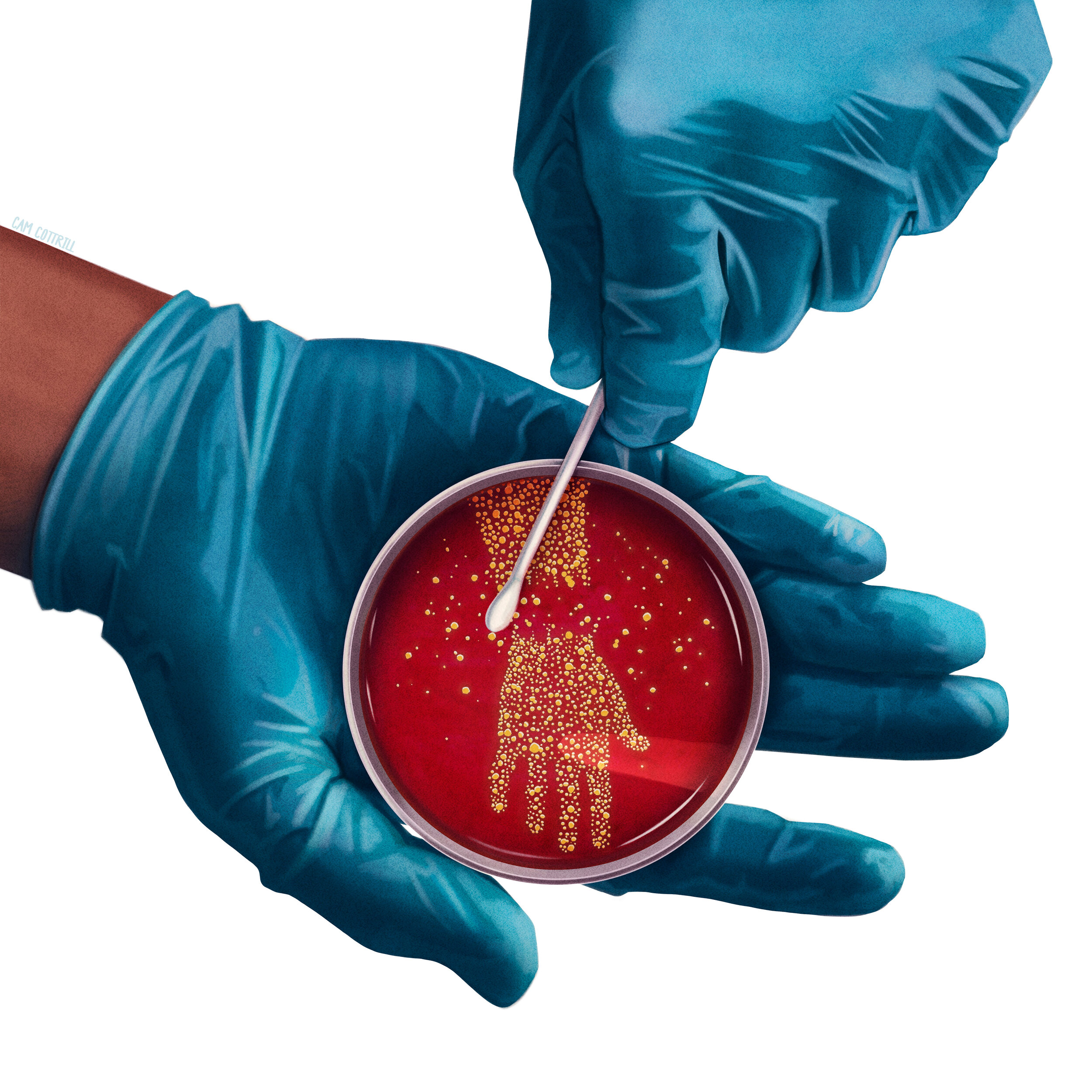 Cam Cottrill Illustration