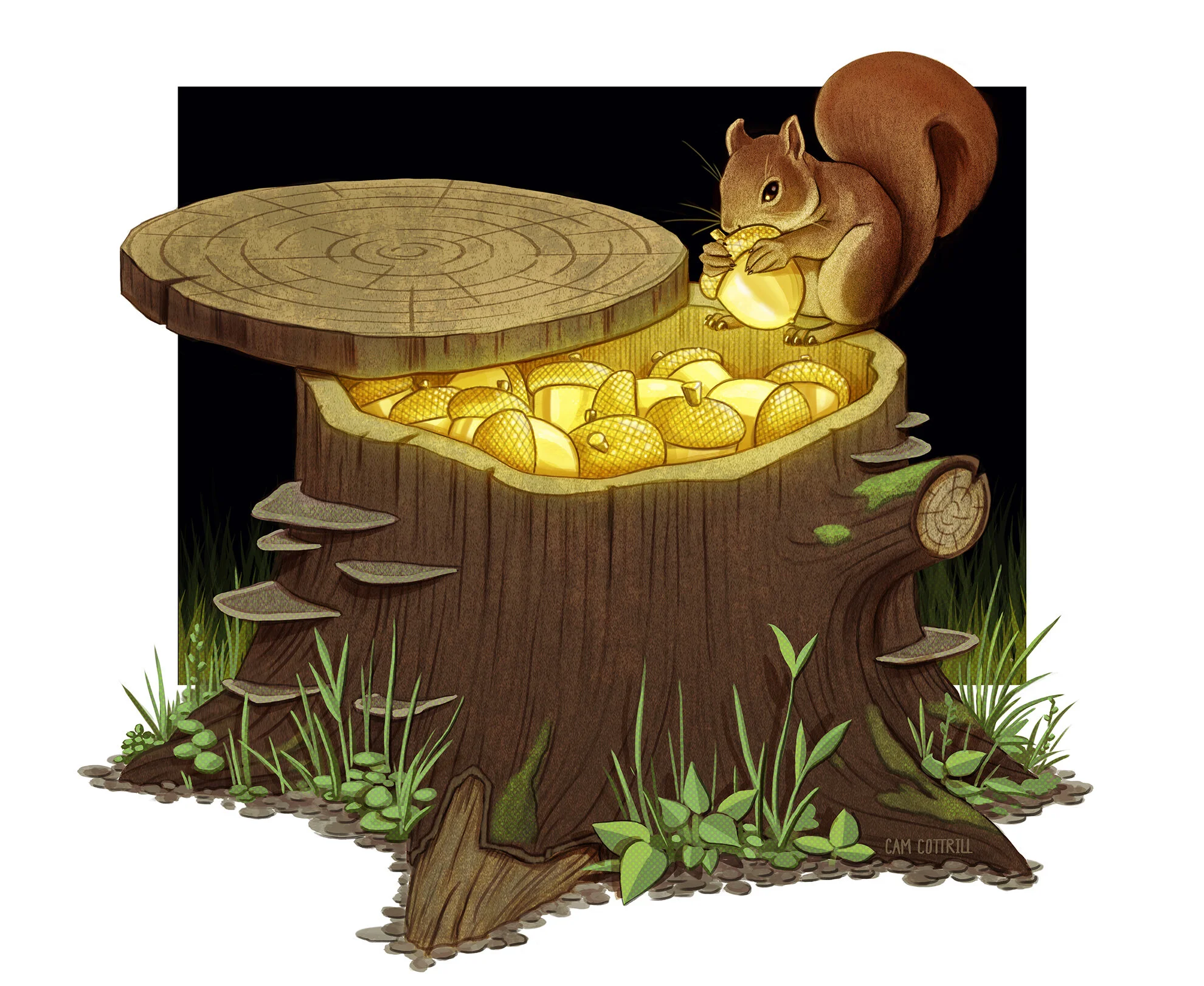 Cam Cottrill Illustration