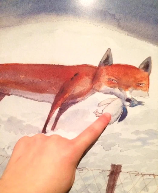 Chooks in Dinner Suits by Diane Jackson Hill - Book Review & Giveaway ...