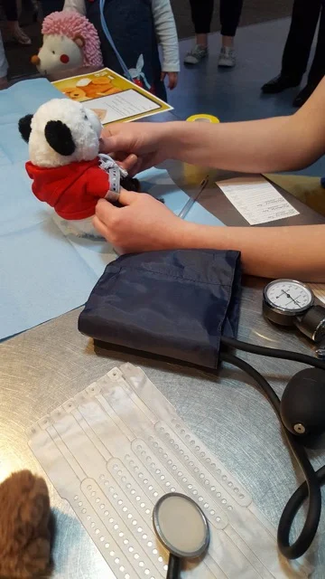 Teddy Vet Checks at Zoos Victoria - Busy City Kids