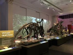 Top 5 things to do at the Australian Museum - Sydney - Busy City Guide